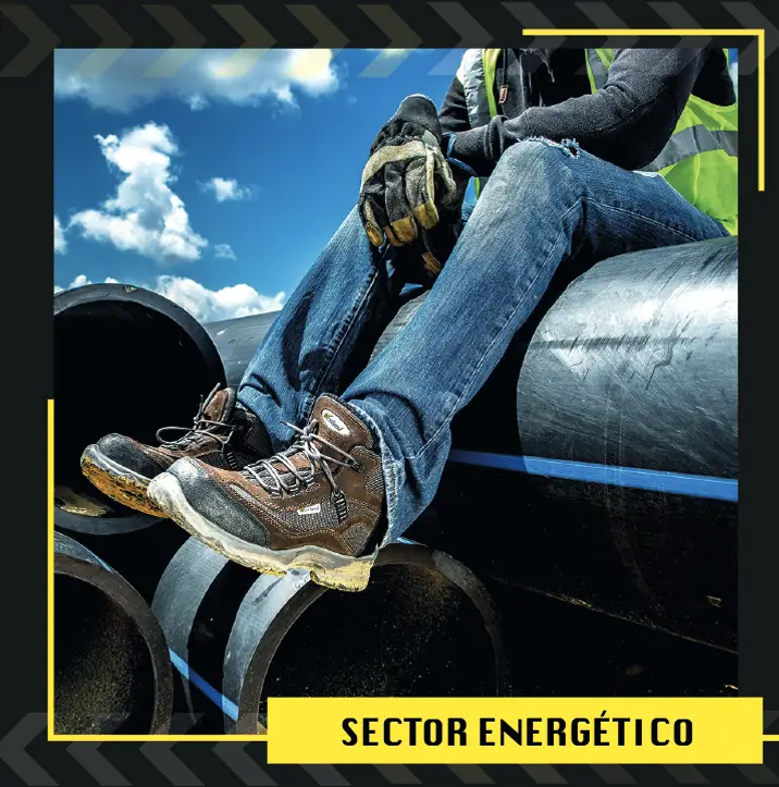 Sectores Económicos – Westland